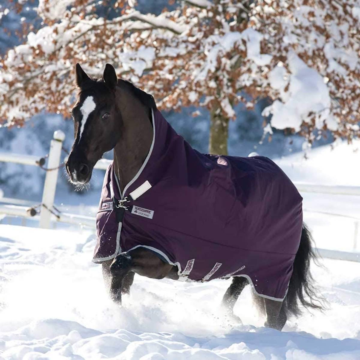 Rambo Wug - Heavy 400g - Høymyr Stall og Hesteutstyr